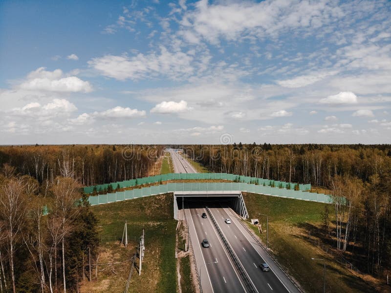 Wildlife Crossing - Bridge Over a Highway in Forest Stock Image - Image ...