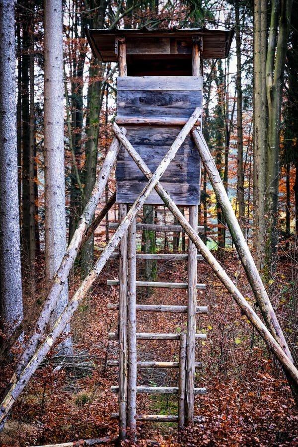 Wildlife observation point stock photo. Image of cabin - 29135184