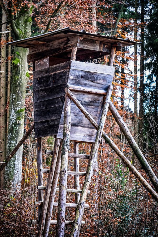 Wildlife observation point stock photo. Image of seat - 29014770