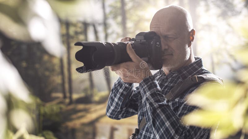 Wildlife Photographer Shooting in a Forest Stock Image - Image of ...