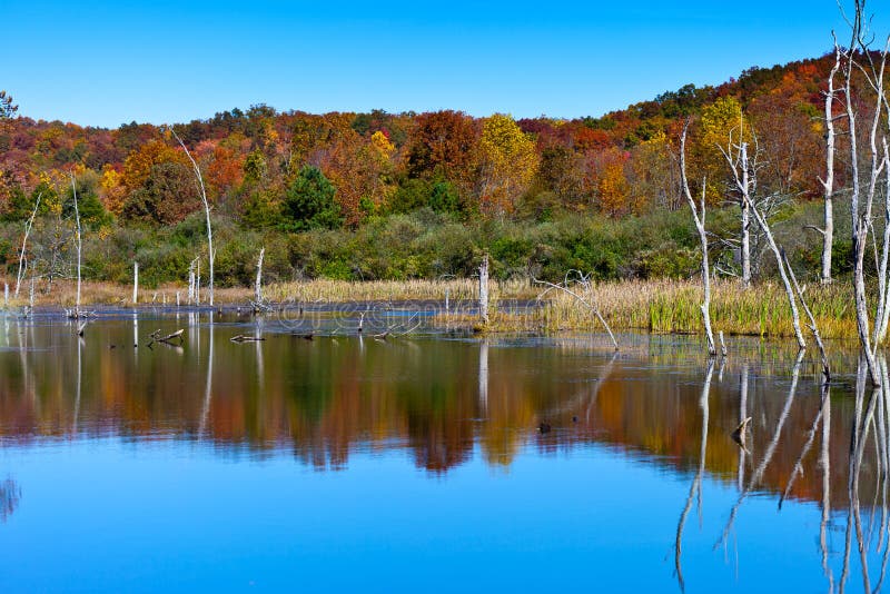 Whitewater Lake - Walworth County, Wisconsin Stock Photo - Image of ...