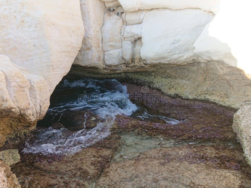 Wildlife , Rocks, Animal, Sea, Mountain Stock Image - Image of wildlife ...