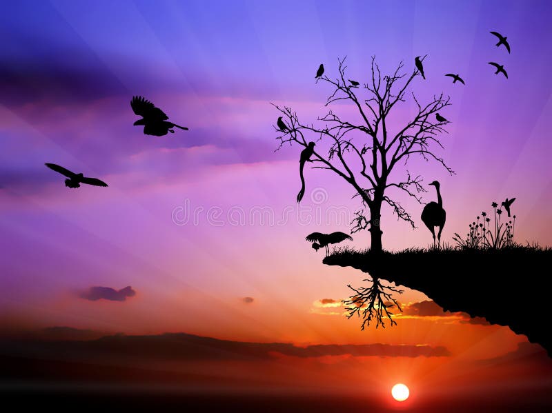 Wildlife Sunset Birds Colorful Illustration Stock Illustration ...