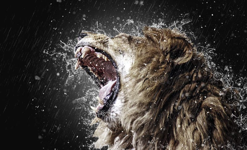 Wildlife, Water, Roar, Phenomenon Picture. Image: 116884894