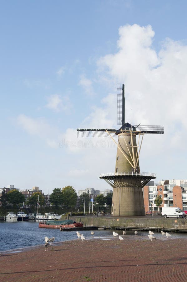 Wildmill Delfshaven image stock. Image du moulin, historique - 29508841