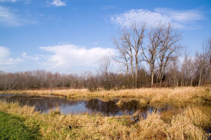In the wildness stock photo. Image of fall, wildness - 14200412