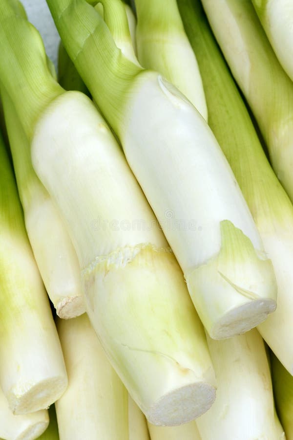 Wildrice stem stock image. Image of aquatica, nature - 25541563