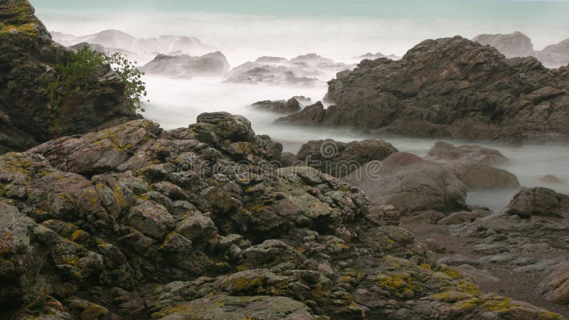 Wildscape stock photo. Image of environment, wild, motion - 6064826