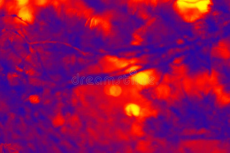 The Will-o-the Wisp is in the Town Stock Image - Image of thermo, neon ...