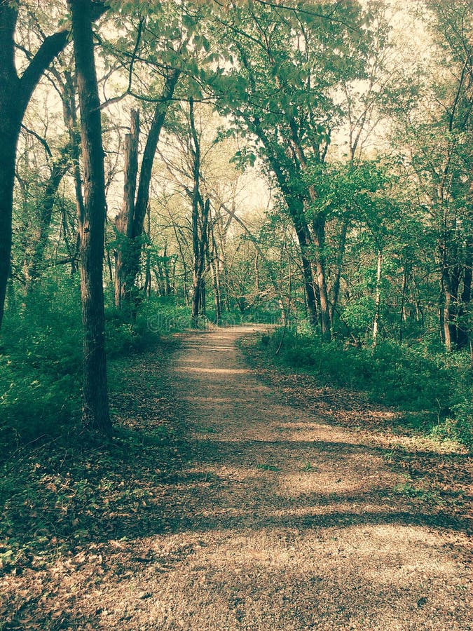 Will you follow me? stock image. Image of follow, trails - 70827443