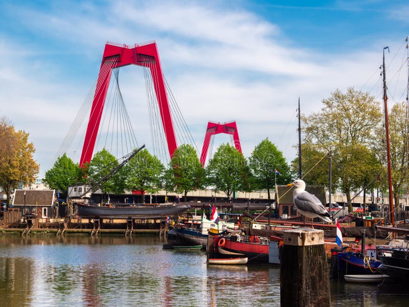 Willemsbrug Bridge in Rotterdam Editorial Photo - Image of river ...