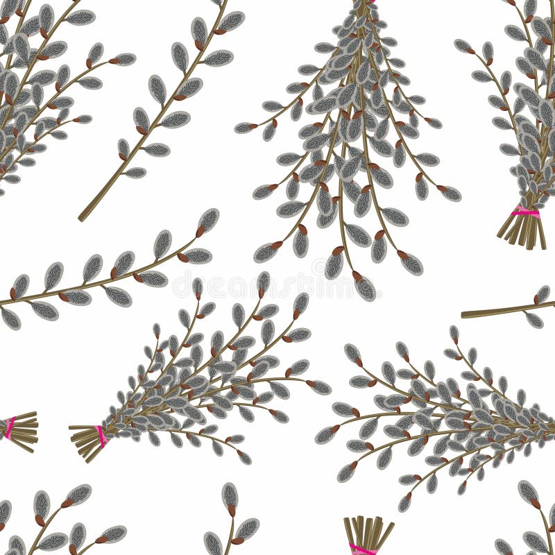 Willow Branch Hand Drawn Seamless Pattern, Vector Illustration Isolated ...