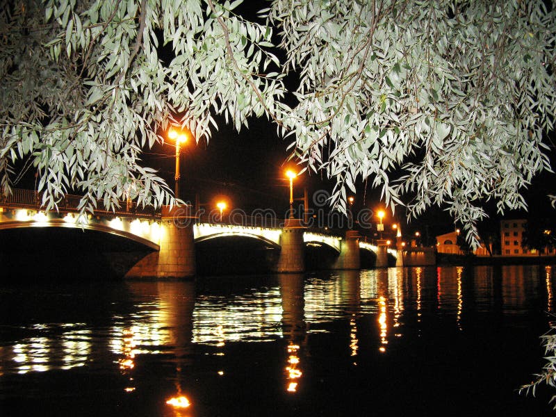 Willow at night stock photo. Image of shadow, large, outdoors - 10764632