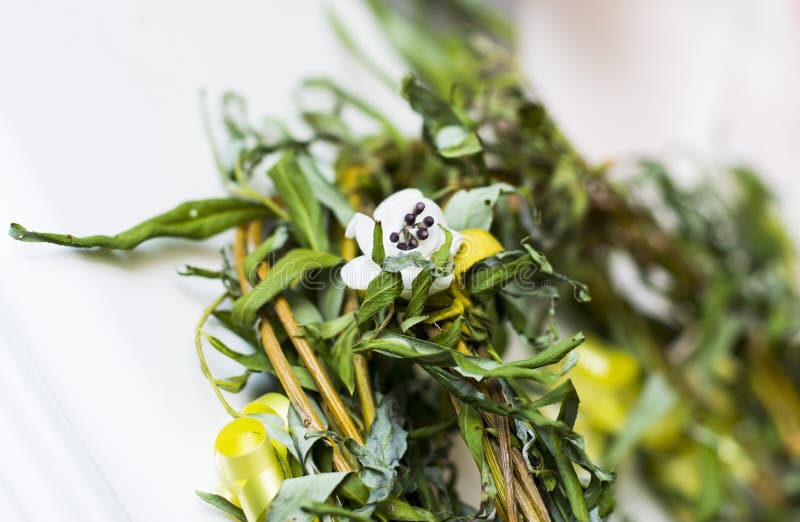 Willow corolla for Easter stock photo. Image of head - 39907654