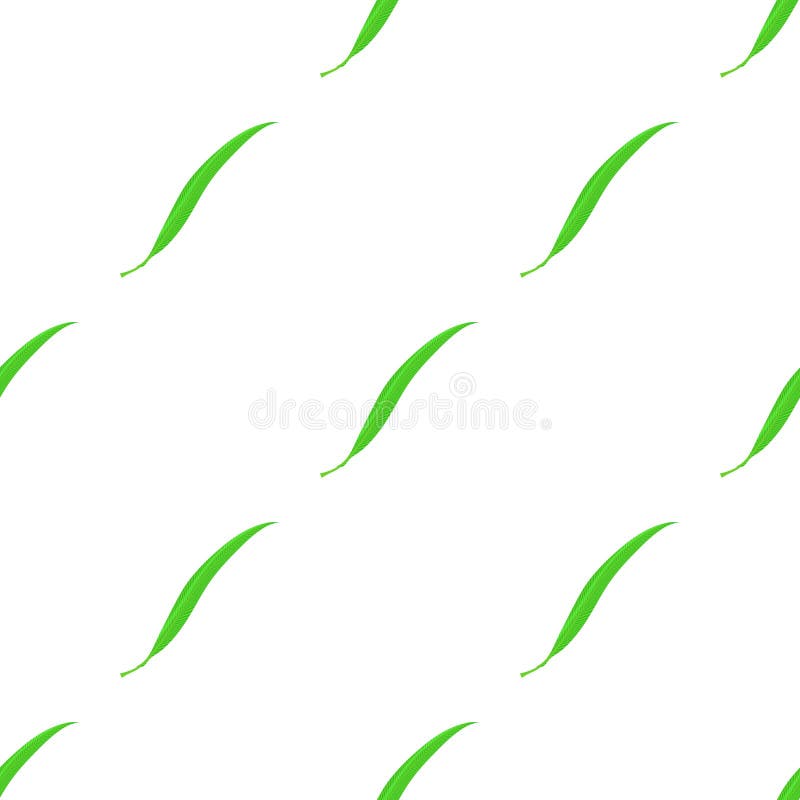 Willow Leaf Pattern Seamless Vector Stock Vector - Illustration of ...