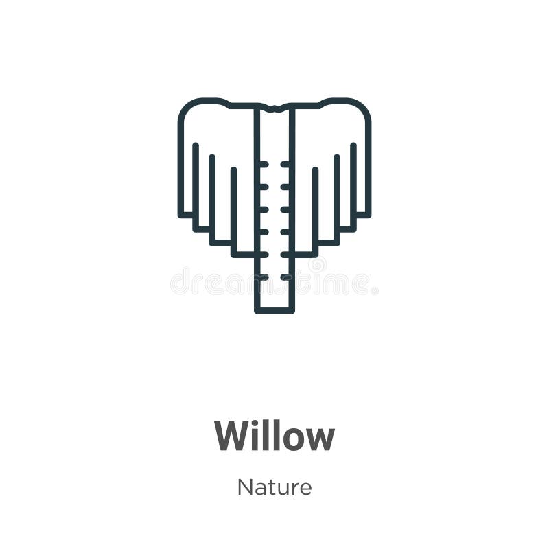 Willow Outline Vector Icon. Thin Line Black Willow Icon, Flat Vector ...