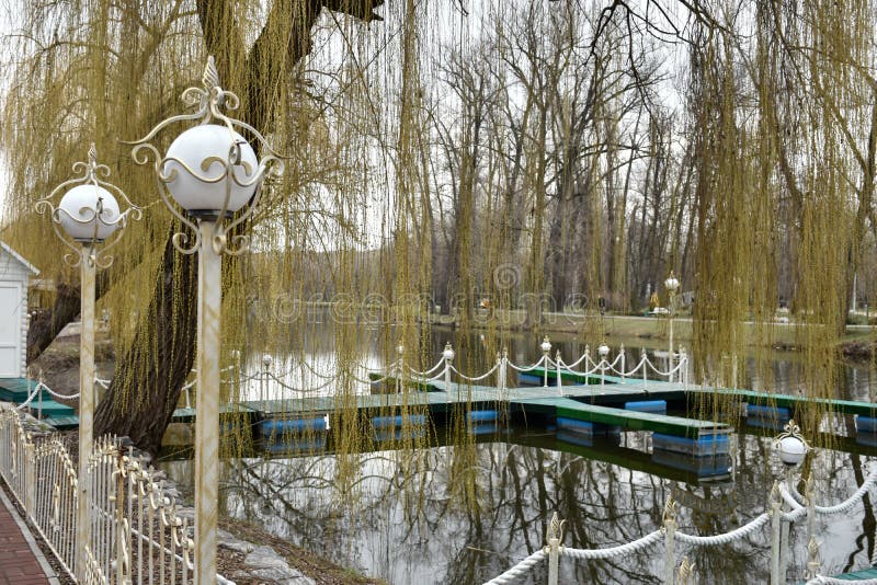 Willow Tree Bends Over a Pond with a Beautiful Bridge. Stock Image ...