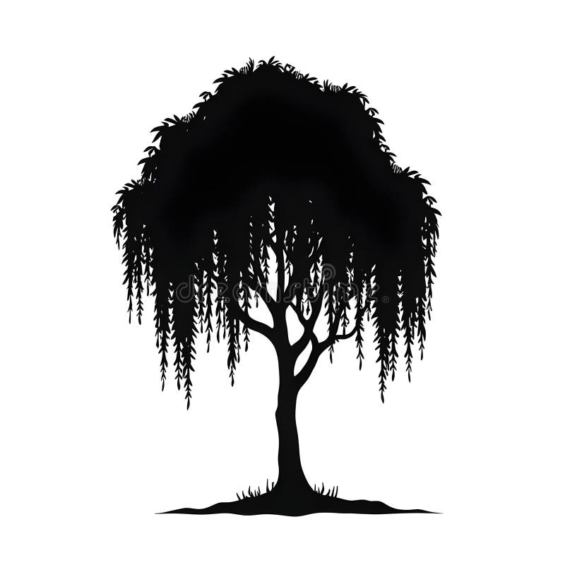 Willow Tree Black Colour Silhouette Vector Stock Illustration ...