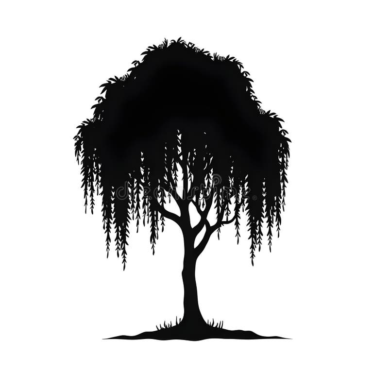 Willow Tree Black Colour Silhouette Vector Stock Illustration ...