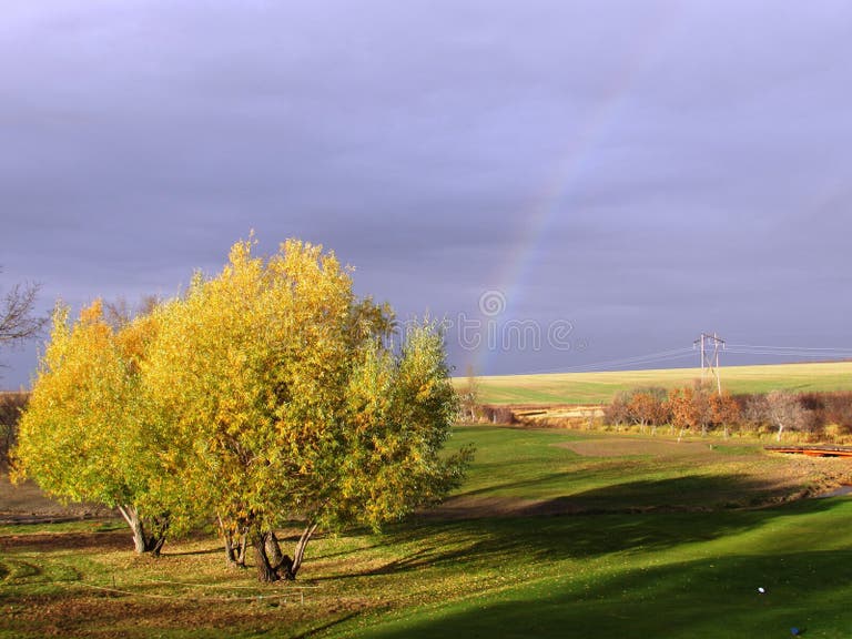 Willow Tree at Flowing Springs and Rainbow Stock Photo - Image of ...
