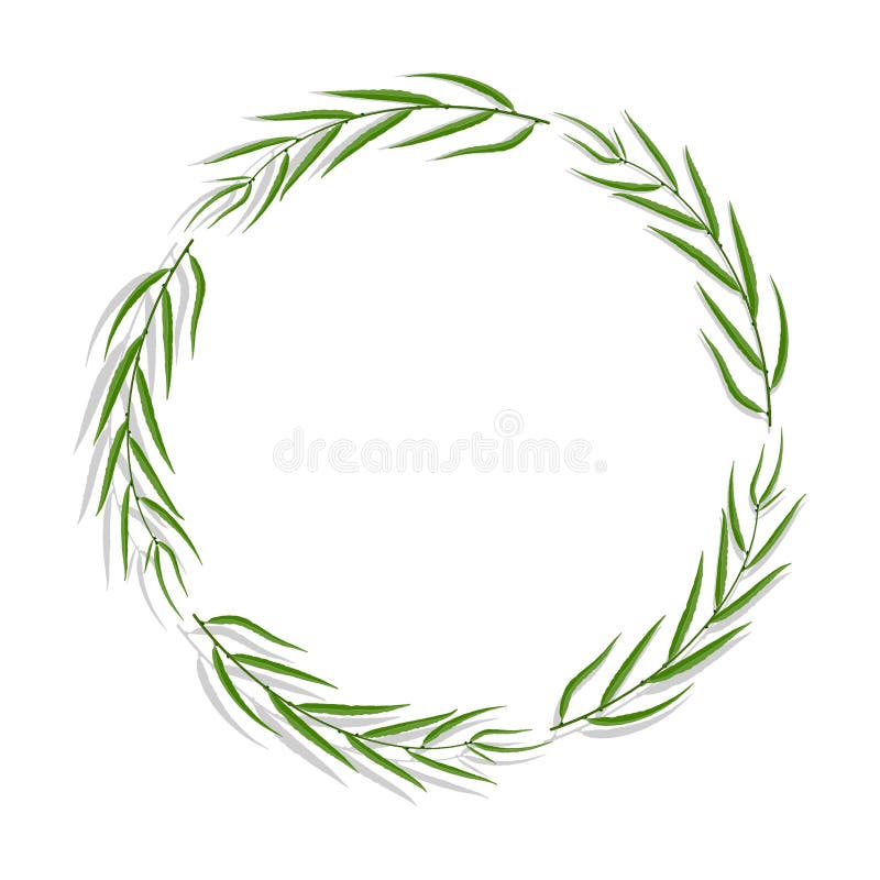 Willow Tree Frame with Green Leaves. Circle Greeting Card Decorating ...