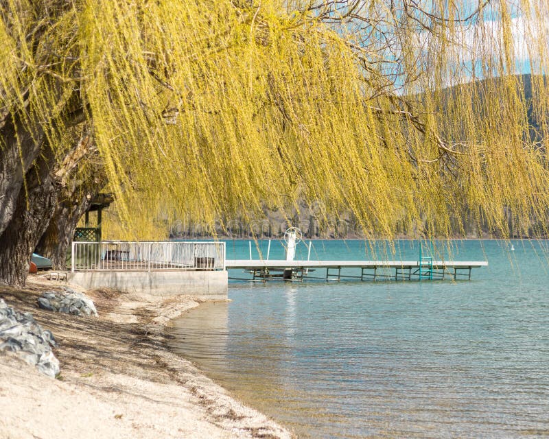 1,419 Lake Bridge Willow Tree Stock Photos - Free & Royalty-Free Stock ...