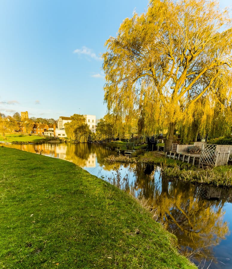 A Willow Tree Reflected in the River Stour on the Western Edge of ...