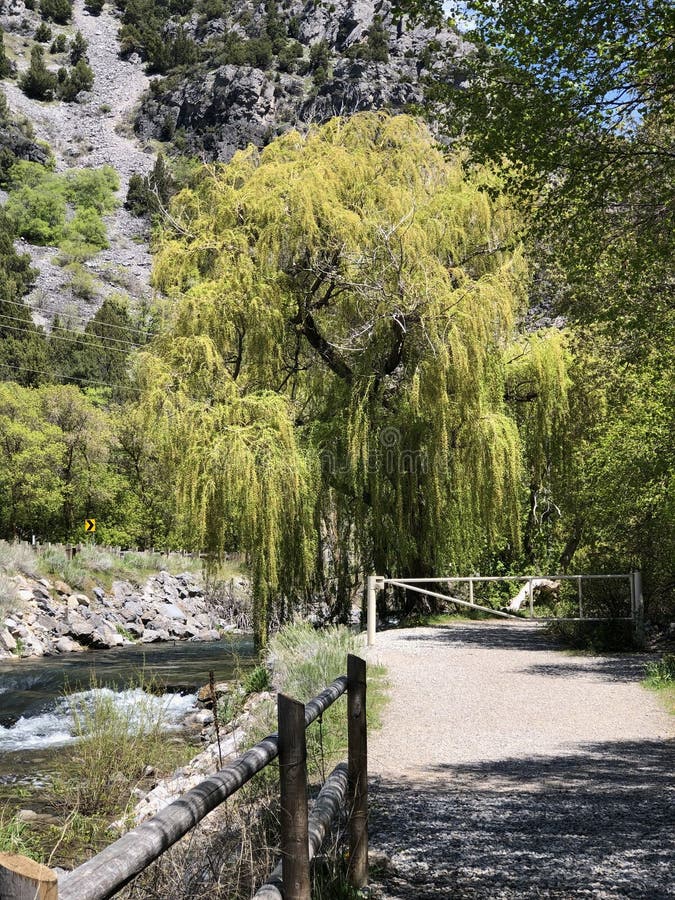 Red Willow Trail System, St Albert, Western Canada Stock Photo - Image ...