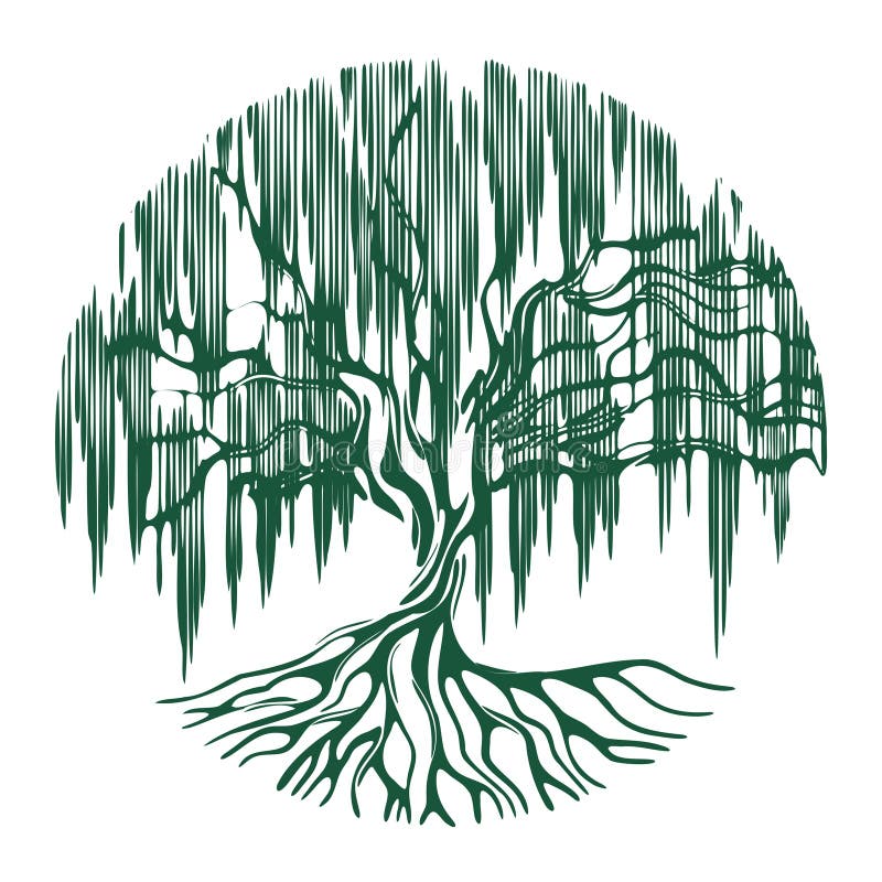 Willow Tree with Roots Over White Stock Vector - Illustration of ...