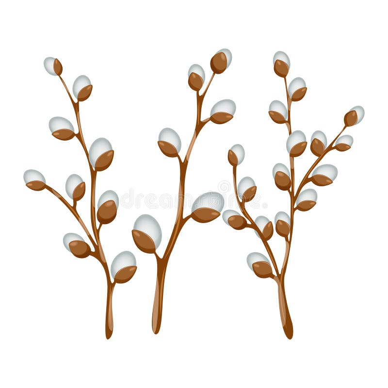Willow Tree Twigs. Spring Elements. Easter Symbols Stock Vector ...