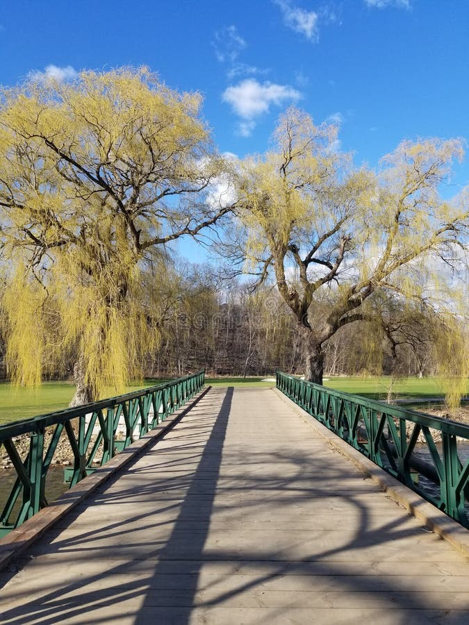 Willow Trees and Green Bridge Stock Image - Image of leaf, autumn ...