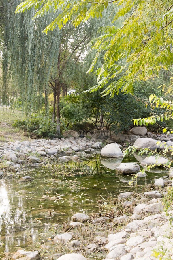 Willows and stones stock image. Image of green, nature - 83643715