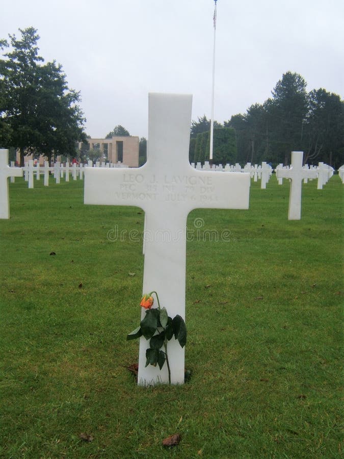Wilted rose on grave editorial stock image. Image of memorial - 82869924