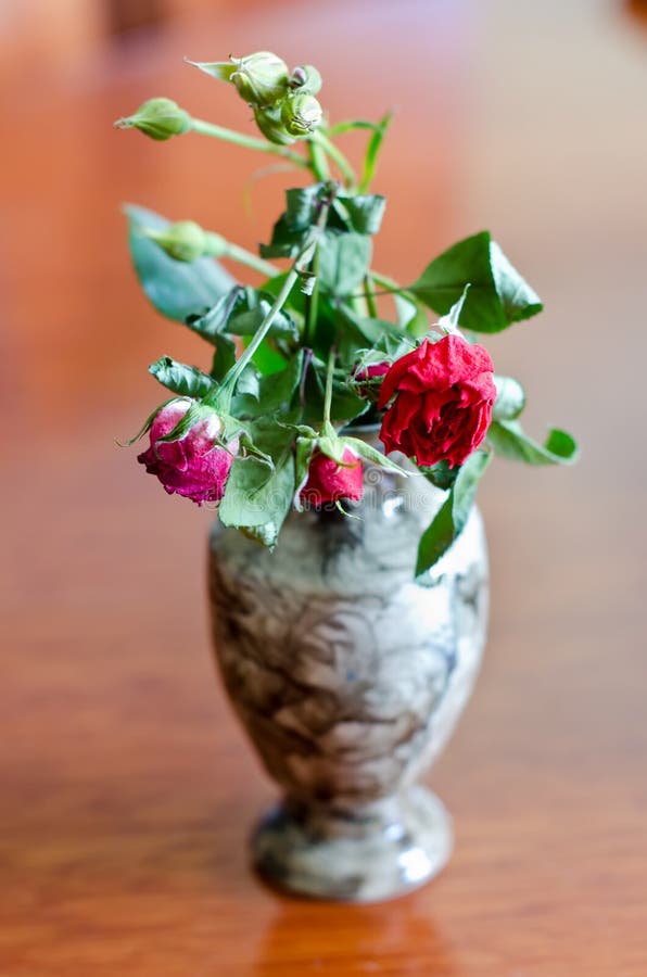 Wilted rose stock photo. Image of bouquet, petal, dried - 46797284