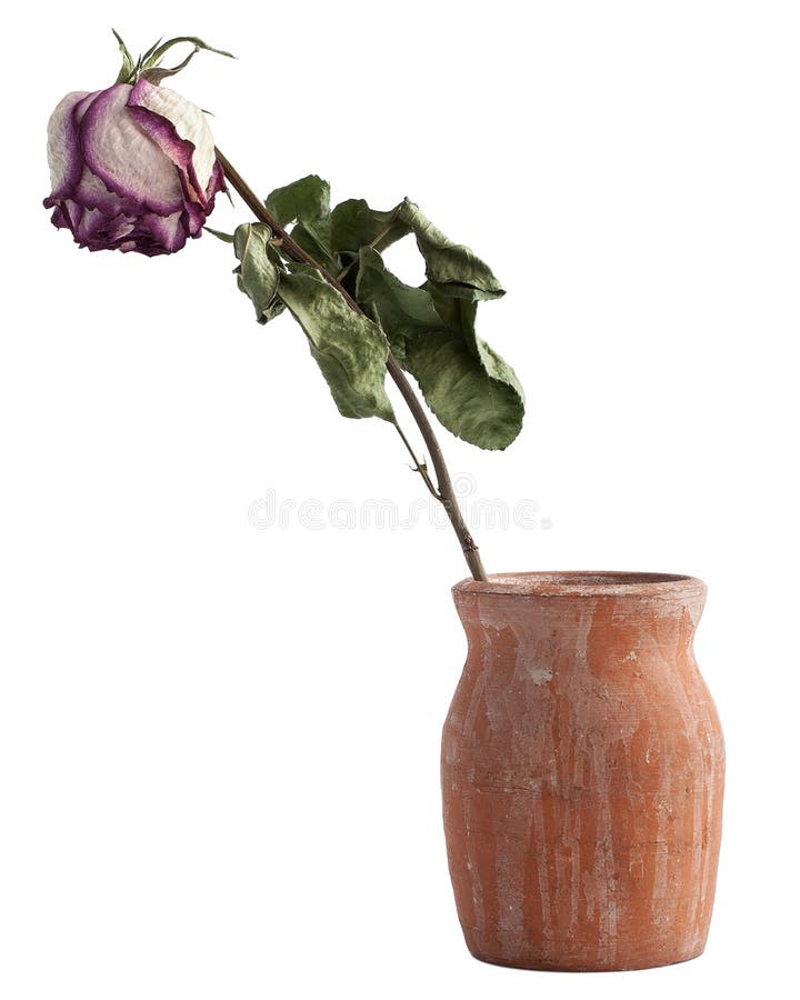 Wilted Rose Flowers and a Heart Symbol in Hand, the Concept of a Broken ...