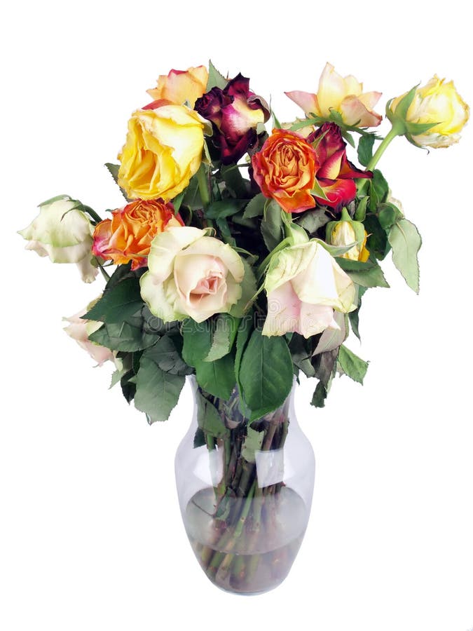 Wilted roses bouquet stock image. Image of wilted, flowers - 23472515