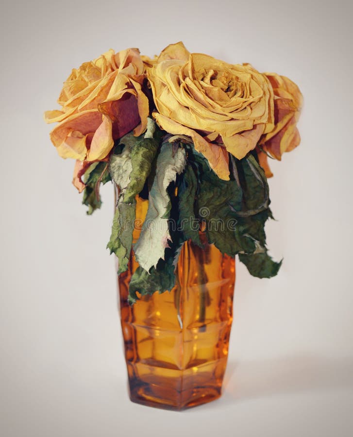 Wilted roses in a vase stock photo. Image of divorce - 53510906