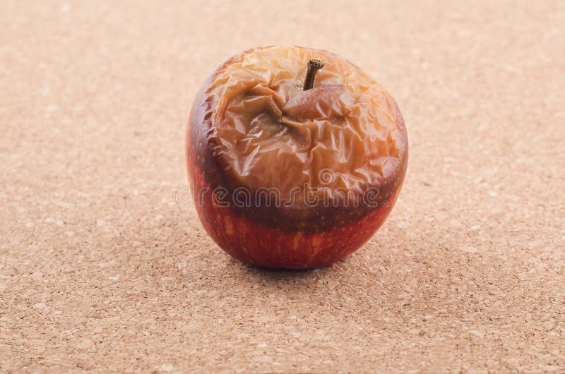 Apple Rotten Inside Stock Photos - Free & Royalty-Free Stock Photos ...