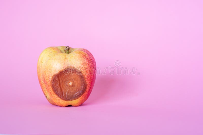 Wilted Rotten and Wrinkled Apple Stock Image - Image of rotten, trash ...