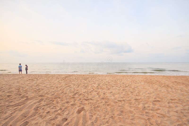 Wiman Del Khung Della Spiaggia Immagine Editoriale - Immagine di piante ...