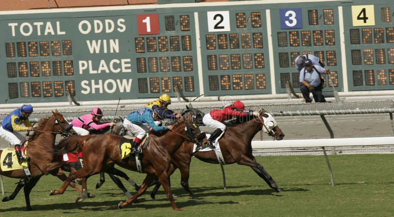 Win, Place, Show! editorial photo. Image of racing, competitor - 4310596