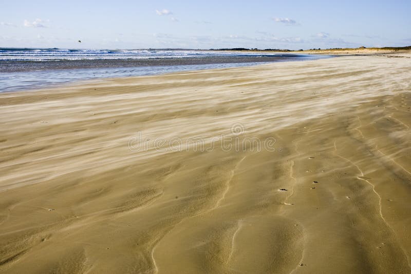Wind On The Beach Picture. Image: 4493575