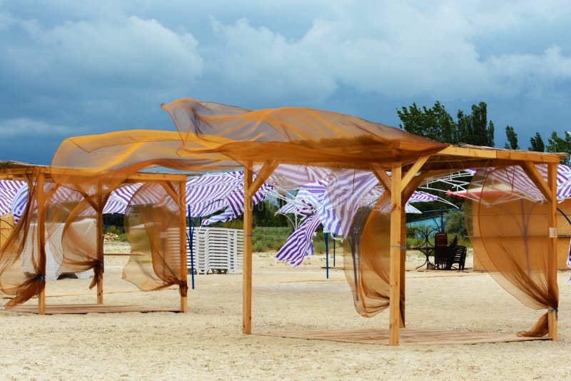 Wind on the beach stock photo. Image of park, texel, nature - 1480150
