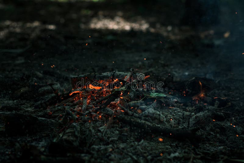 814 Fire Blowing Wind Stock Photos - Free & Royalty-Free Stock Photos ...