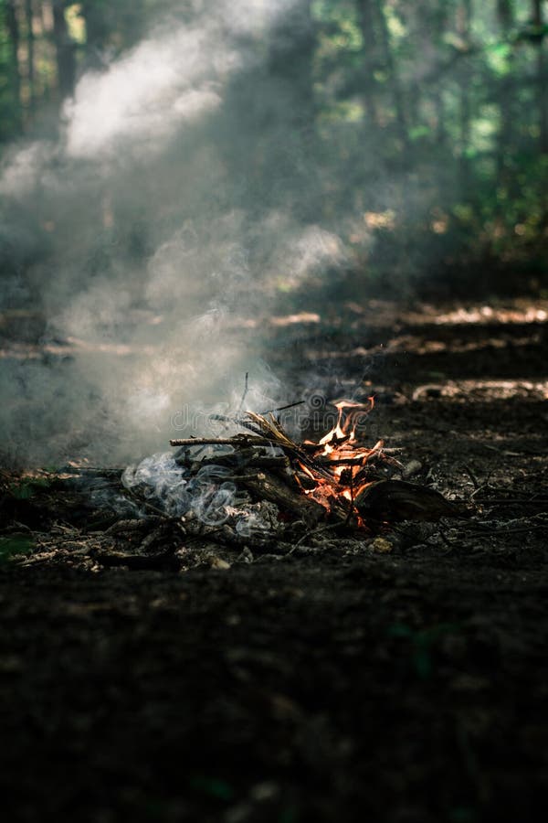 Wind is blowing on coals stock photo. Image of beauty - 103596790