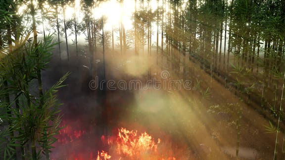 Wind Blowing on a Flaming Bamboo Trees during a Forest Fire Stock Photo ...