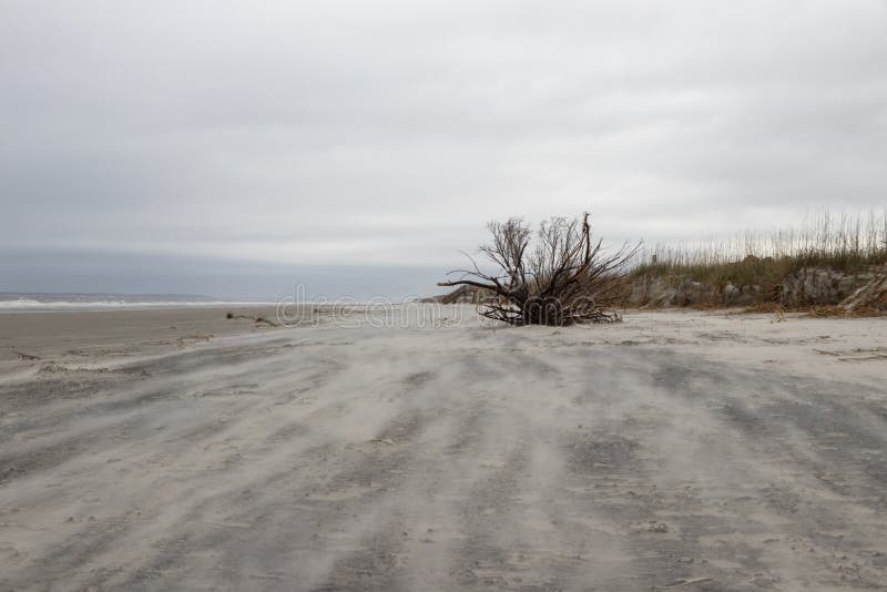 Wind Blowing Sand on the Beach Stock Image - Image of nature, seasons ...