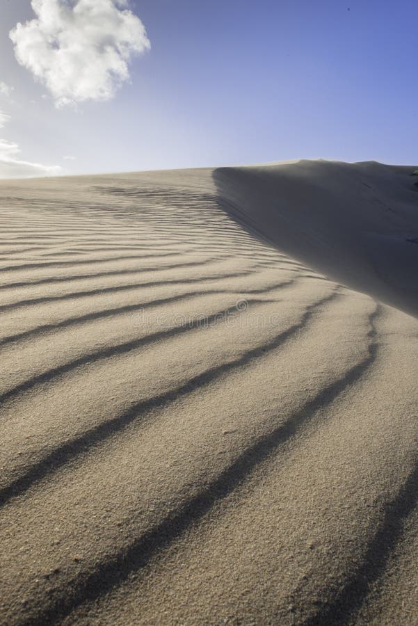 Sand Blowing Over Sand Dune In Wind Stock Image - Image of algeria ...
