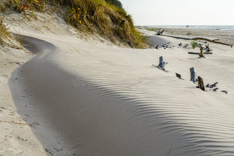 Wind-blown Rippled Sand Texture in the Sand Dunes of the Baltic Sea ...