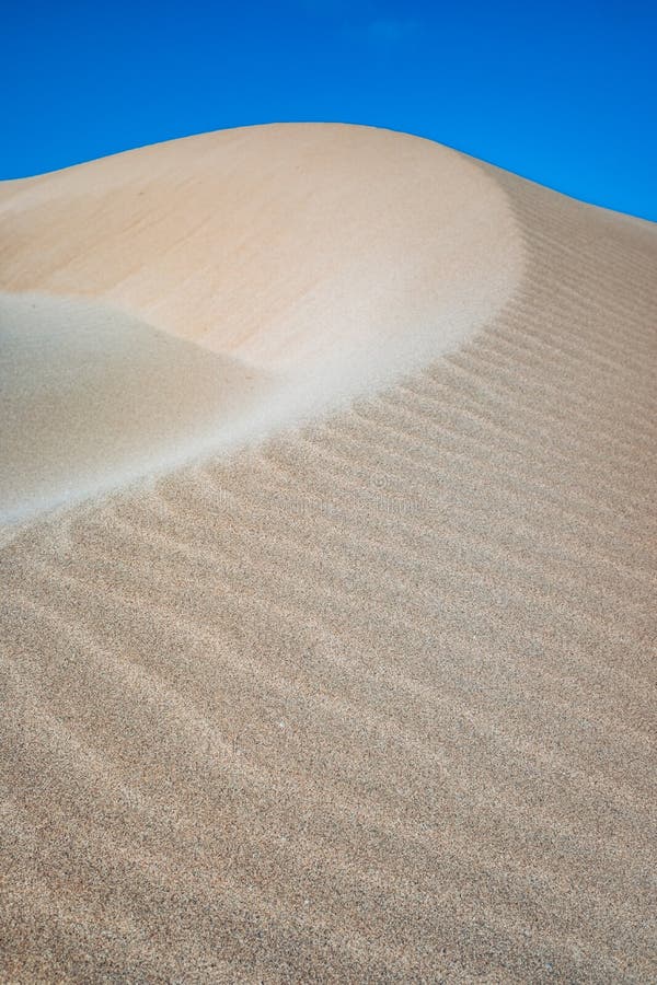 The Wind Blows the Fine Sand Off the Beaches and Forms High Dunes Stock ...